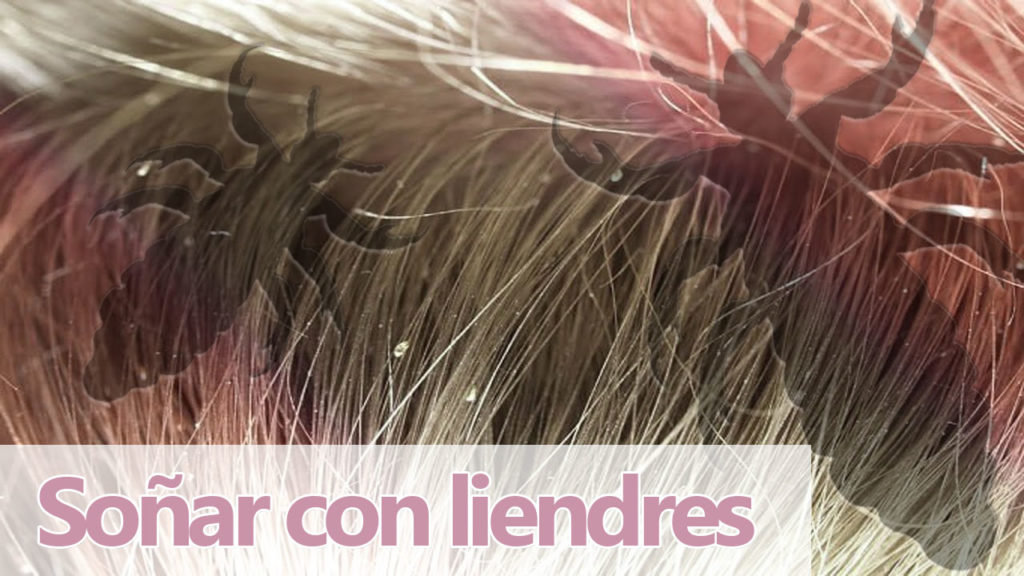 Qué significa soñar con piojos y liendres ? Soñar-Con.info